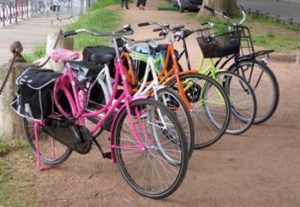 Le vélo Hollandais : un deux-roues stylé selon Érika Roussel